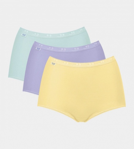Sloggi Maxi Briefs Colours 3 Pair Pack | Needundies